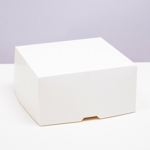 Коробка под бенто-торт, белая, 20,5 х 20,5 х 10 см 5 шт