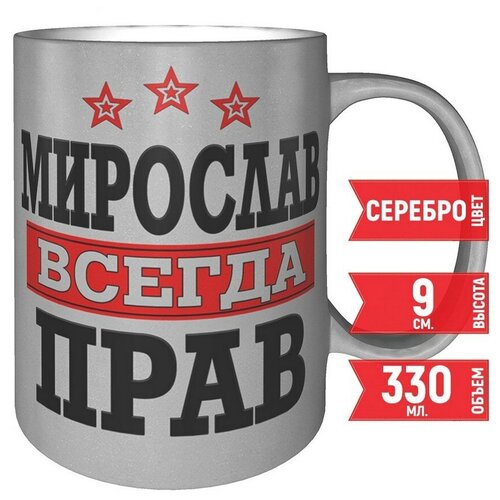 Кружка Мирослав всегда прав - серебристого цвета 330 мл.