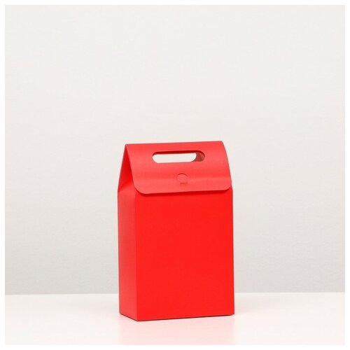 Коробка-пакет с ручкой, красная, 27 х 16 х 9 см 5 шт