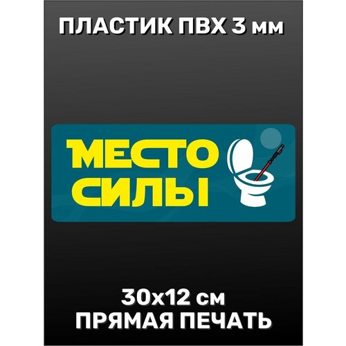 Информационная табличка на дверь - Место силы 30х12 см