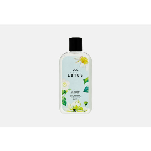 Шампунь для жирной кожи головы Lotus Leaf Shampoo for Oily Scalp 260 мл