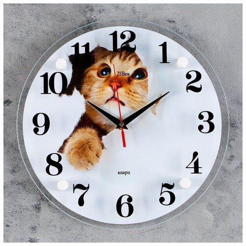 Часы настенные, серия: Животный мир, "Кот", плавный ход, d=30 см