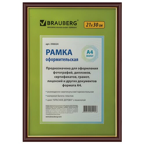 Рамка 21х30 см, пластик, багет 14 мм, BRAUBERG "HIT", красное дерево с позолотой, стекло, 390024