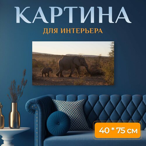 Картина на холсте "Слон, слоненок, африке" на подрамнике 75х40 см. для интерьера