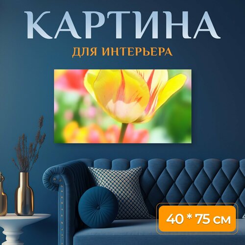Картина на холсте "Тюльпан, цветок, весна" на подрамнике 75х40 см. для интерьера