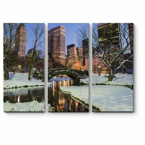 Модульная картина Зимний вид Центрального Парка130x93