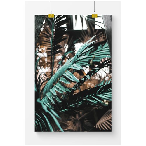 Постер на стену для интерьера Postermarkt Зелено золотые листья пальмы №2, размер 50х70 см, постеры картины для интерьера в тубусе