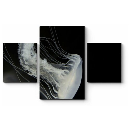 Модульная картина Белая медуза120x78