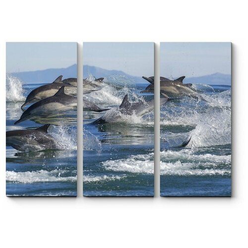 Модульная картина Семья дельфинов130x93