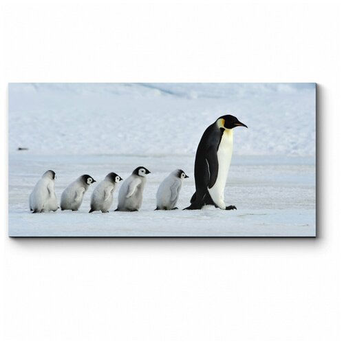 Модульная картина Семейство пингвинов на прогулке70x35