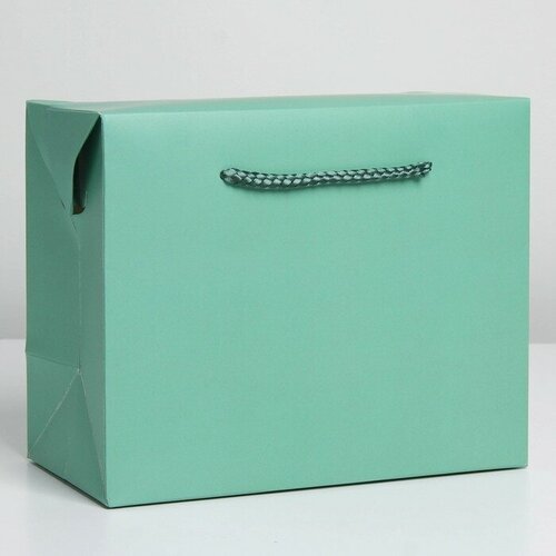 Пакет — коробка «Тиффани», 28 × 20 × 13 см
