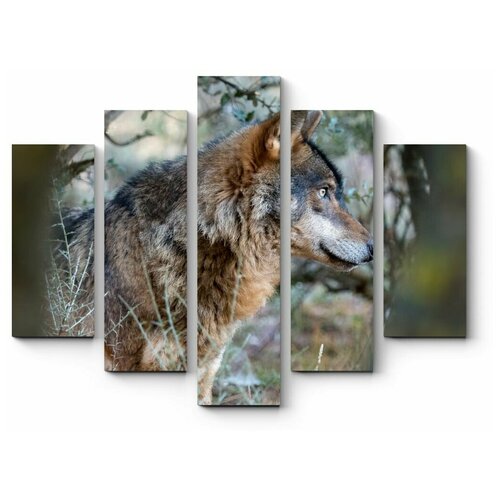 Модульная картина Волк спрятался между деревьями 95x76