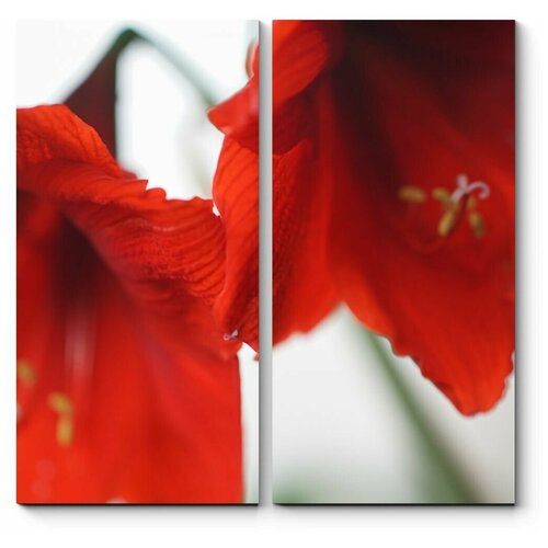 Модульная картина Красные цветы100x100