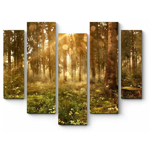 Модульная картина Лучи солнца, пронизывающие лес 121x98