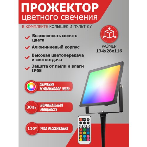 Прожектор REXANT 605-012 + опора на грунте, 30 Вт, свет: RGB