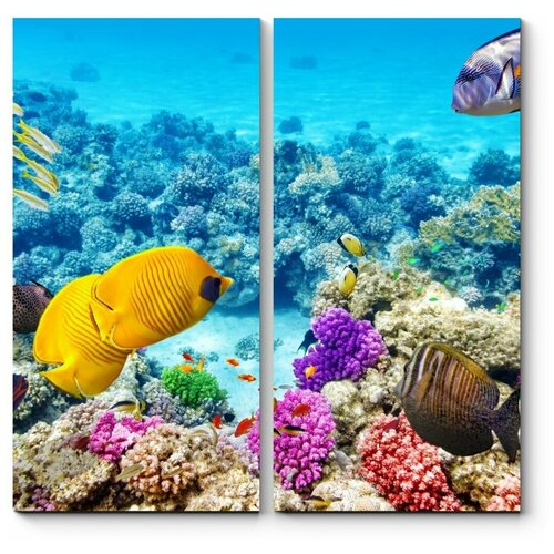 Модульная картина Коралловый риф 90x90