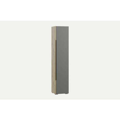 Распашной шкаф Авильтон -1.1 Grey