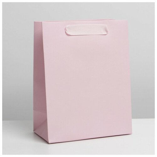 Пакет ламинированный «Розовый», ML 23 х 27 х 11.5 см