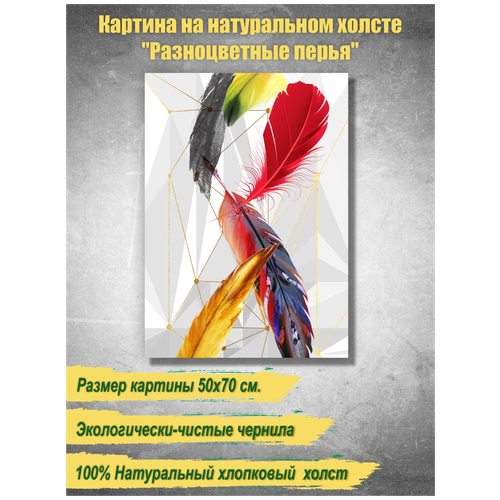 Постер на холсте "Разноцветные перья"