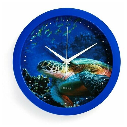 Часы настенные, серия: Животный мир, "Черепаха", плавный ход, d=28 см