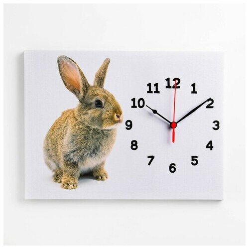 Соломон Часы-картина настенные "Заяц", плавный ход, 30 х 40 см, 1 АА