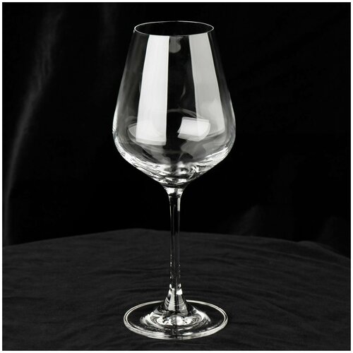 Бокал для вина Desire White Wine Glass 420 ml