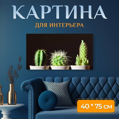 Картина на холсте "Кактус, горшок для растений, кактусы" на подрамнике 75х40 см. для интерьера