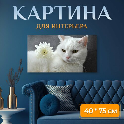 Картина на холсте "Белый, кошка, дом" на подрамнике 75х40 см. для интерьера