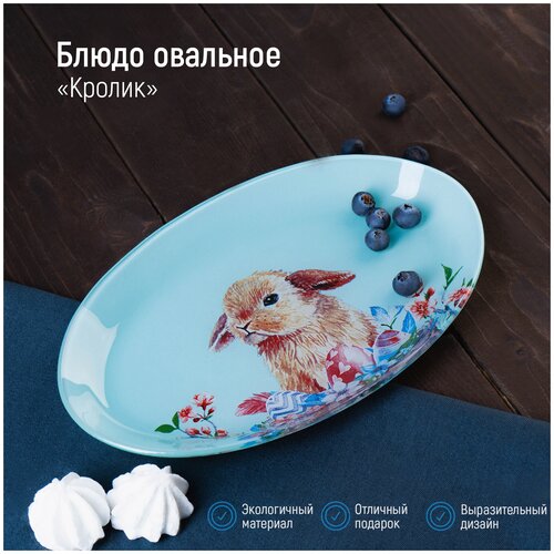 Блюдо стеклянное овальное Доляна «Кролик», овальное, 24,5×15 см