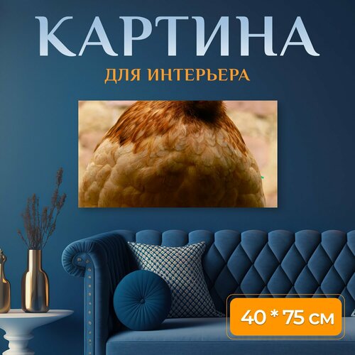 Картина на холсте "Курица, бройлер, домашняя птица" на подрамнике 75х40 см. для интерьера
