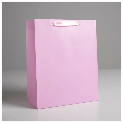 Пакет подарочный Розовый , 26 х 32 х 12 см