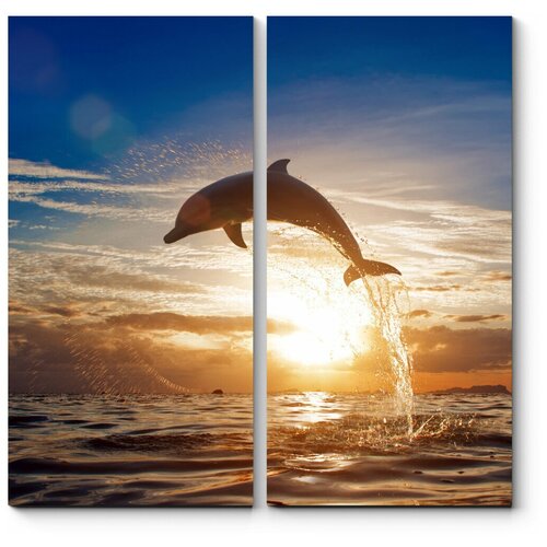Модульная картина Завораживающий прыжок дельфина на закате 40x40