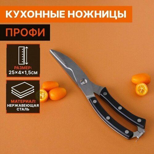 Доляна Ножницы кухонные Доляна «Профи», 25×4×1,5 см, цвет чёрный