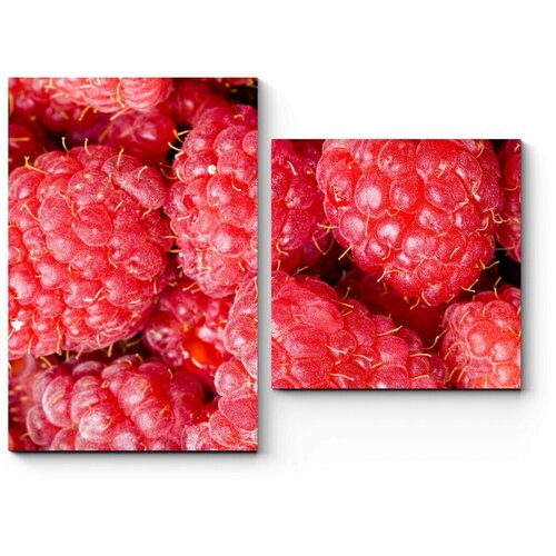 Модульная картина Крупные ягоды малины 80x60