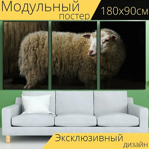Модульный постер "Овец, овен, животное" 180 x 90 см. для интерьера