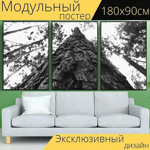 Модульный постер "Деревья, лаять, лес" 180 x 90 см. для интерьера