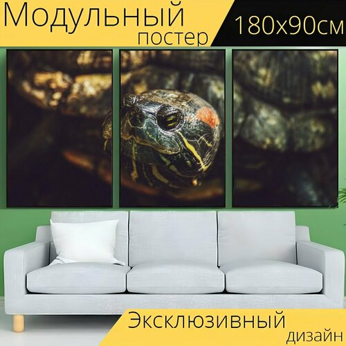 Модульный постер "Черепаха, рептилия, бронеавтомобили" 180 x 90 см. для интерьера