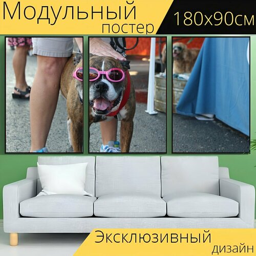 Модульный постер "Собака, очки собака, прохладный собака" 180 x 90 см. для интерьера