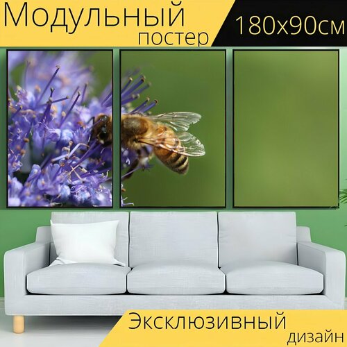 Модульный постер "Пчела, насекомое, нектар" 180 x 90 см. для интерьера