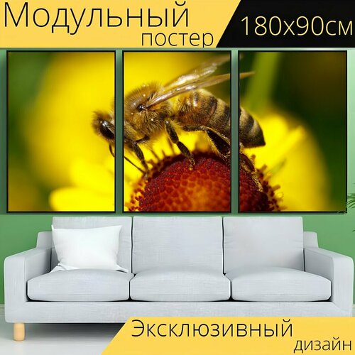Модульный постер "Пчела, цветок, насекомое" 180 x 90 см. для интерьера