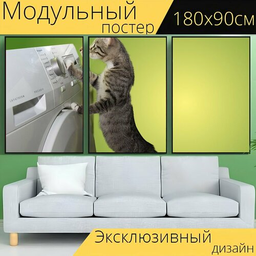 Модульный постер "Кот, домашняя кошка, сушилка" 180 x 90 см. для интерьера