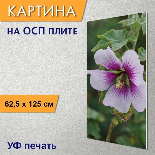 Вертикальная картина на ОСП "Цветок, ибискус, ботанический" 62x125 см. для интерьериа