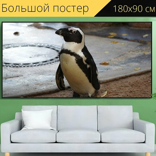 Большой постер "Пингвин, зоопарк, птица" 180 x 90 см. для интерьера