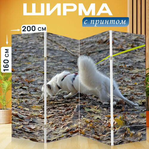 Ширма перегородка с принтом "Собака, щенок, животное" на холсте - 200x160 см. для зонирования, раскладная