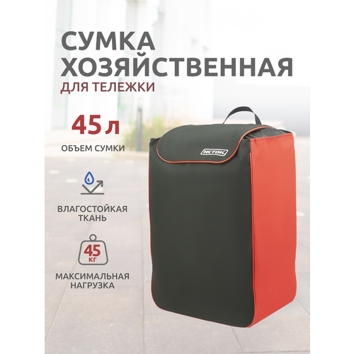 Сумка Исток, 45 л, 24х50х35 см, ручная кладь, красный, черный