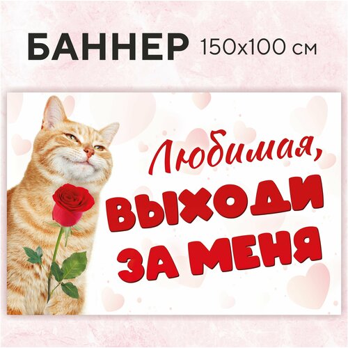 Баннер для праздника "Любимая, выходи за меня" с котом 150 см х 100 см, плакат для фотозоны