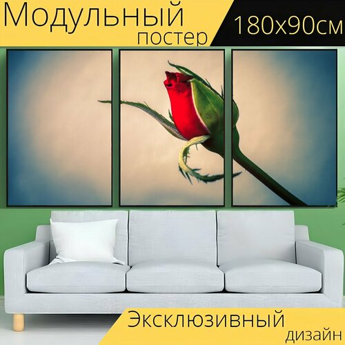Модульный постер "Роза, цвести, процветать" 180 x 90 см. для интерьера