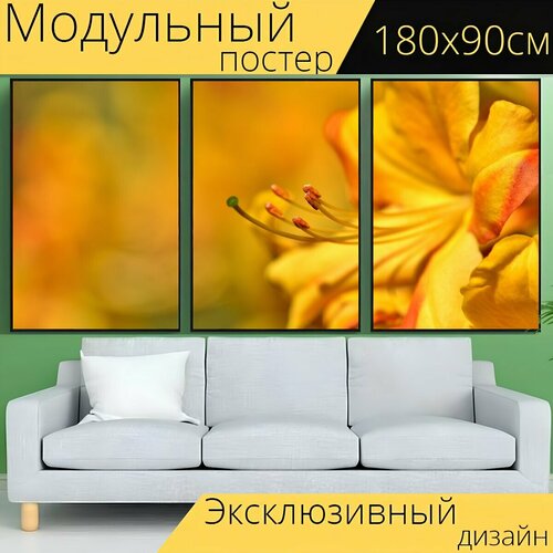 Модульный постер "Рододендрон, бутоны рододендрона, цветок рододендрон" 180 x 90 см. для интерьера