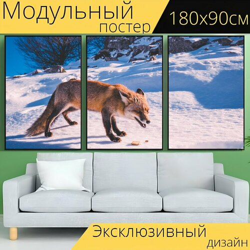 Модульный постер "Лиса, животное, зима" 180 x 90 см. для интерьера