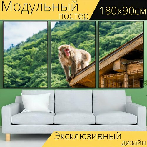 Модульный постер "Арасияма, япония, парк обезьян" 180 x 90 см. для интерьера